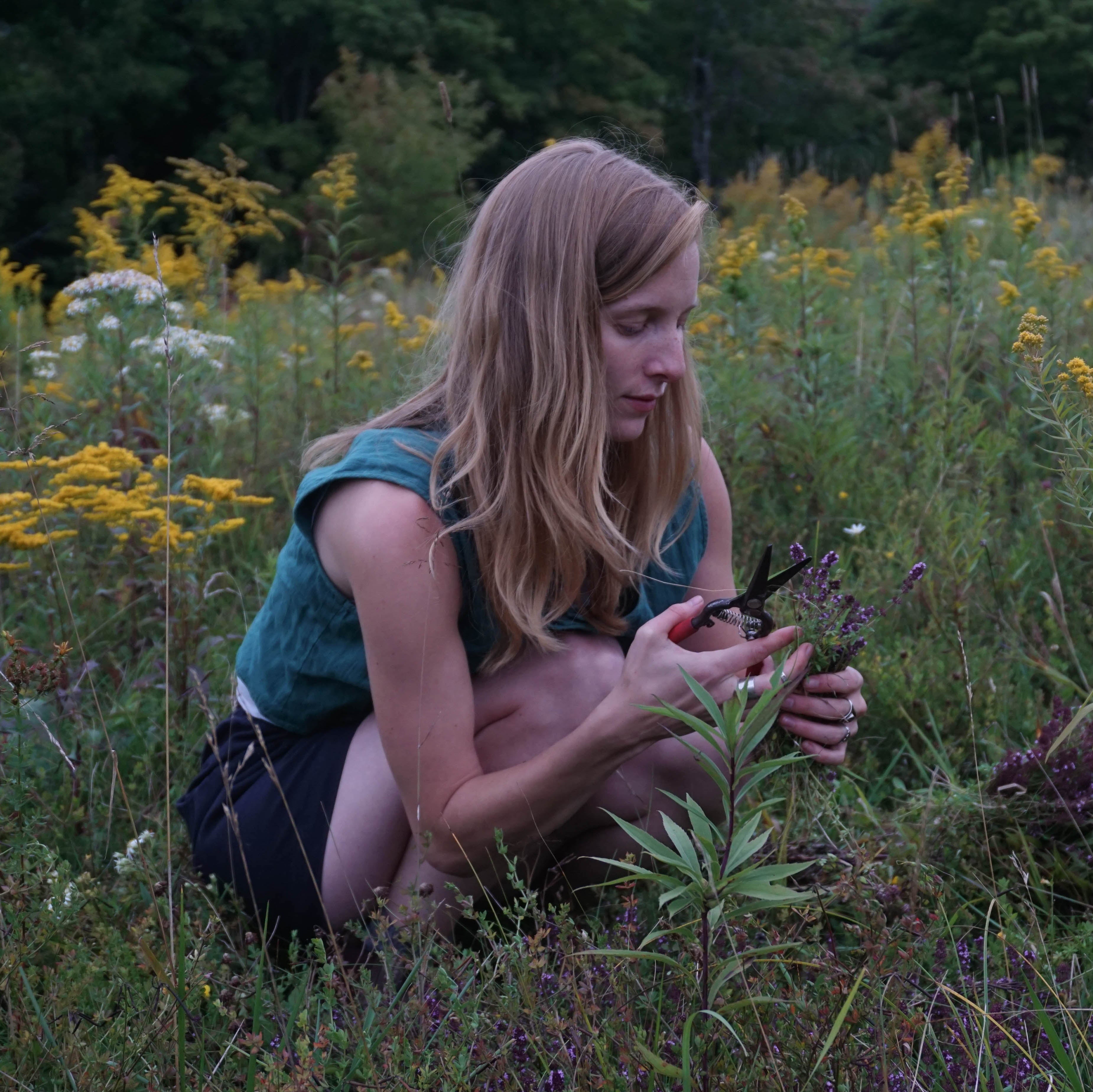 Anja Rothe – tagged "fat-of-the-land-apothecary" – The Alchemist's Kitchen